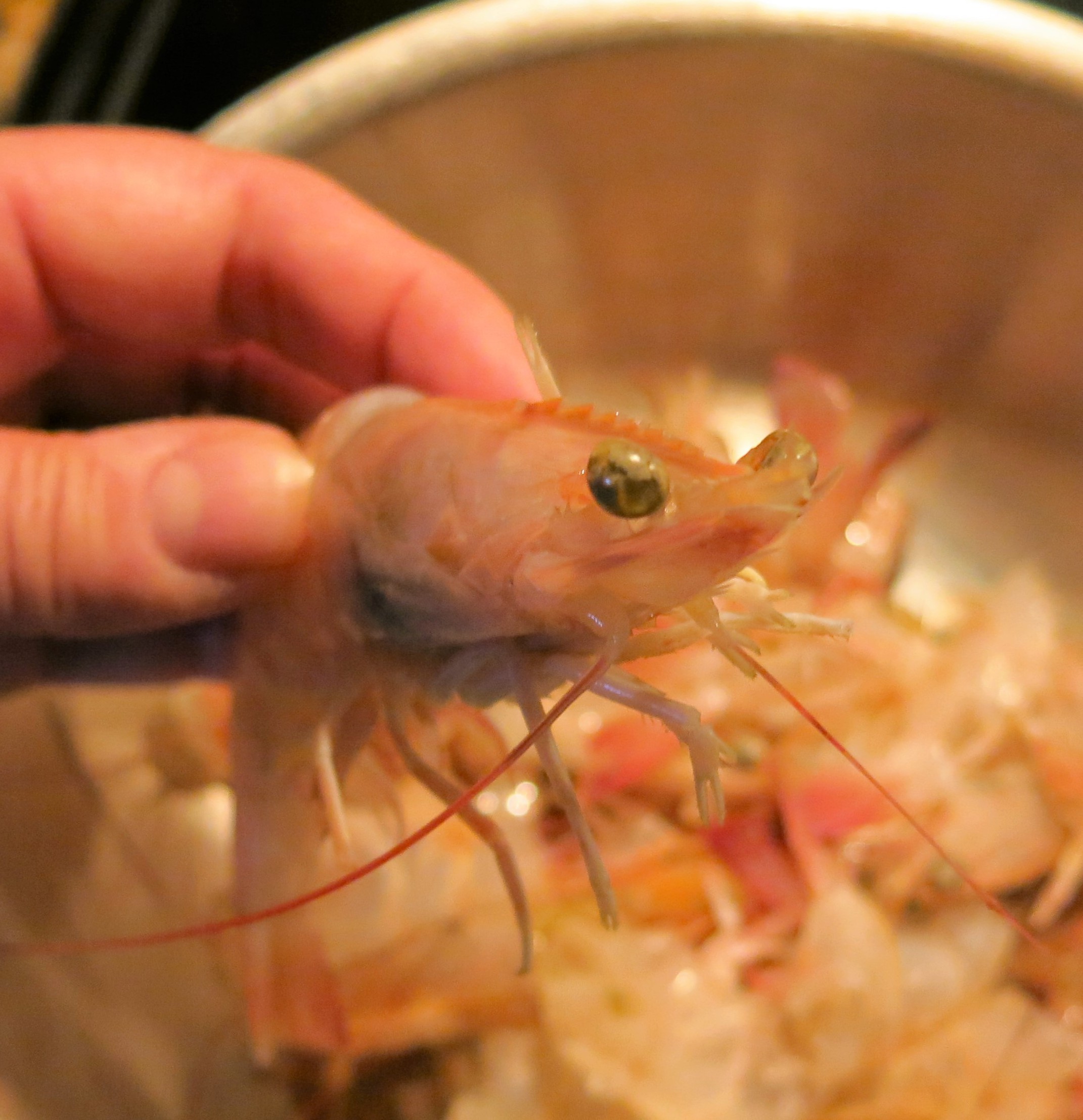 Working with Shrimp | Goddess Cooks